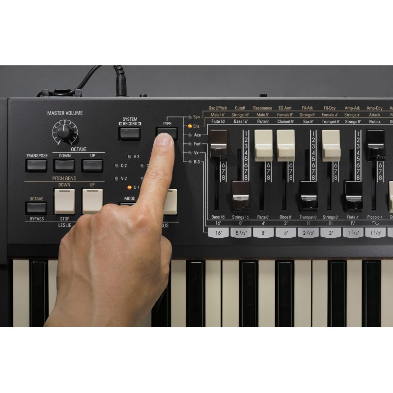 HAMMOND MSOLO black
