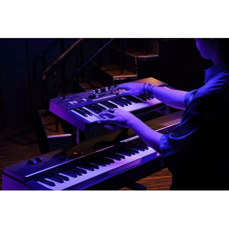 HAMMOND MSOLO black