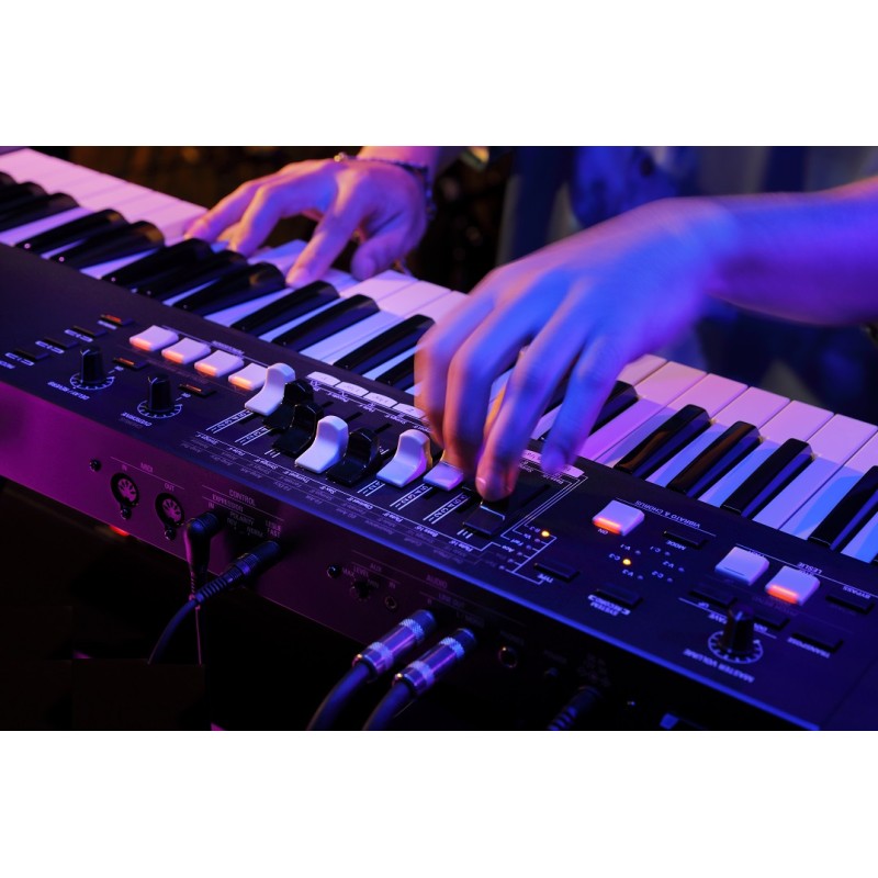 HAMMOND MSOLO black