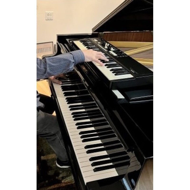 HAMMOND MSOLO black