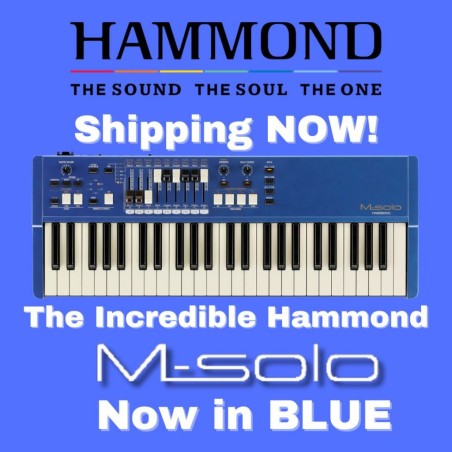 HAMMOND MSOLO black